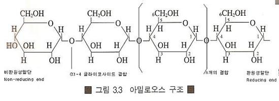 제3장 재료별 특성 및 조리원리 1 곡류의 조리 전분 네이버 블로그