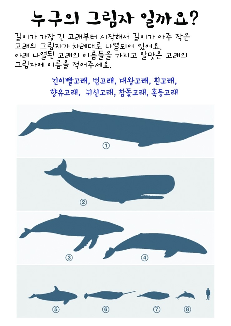 프리스쿨 홈스쿨 바다 해양 생물 고래의 이름과 길이 그리고 색칠 공부 자료입니다 네이버 블로그