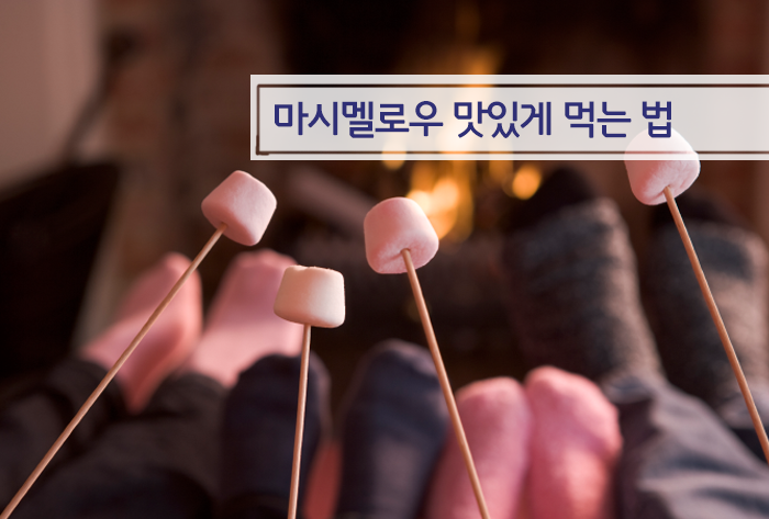 마시멜로 맛있게 먹는 법 마시멜로우 구워먹기 네이버 블로그