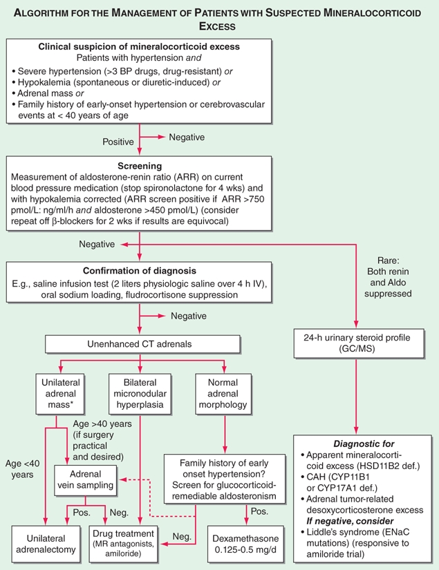 Primary Hyperaldosteronism 네이버 블로그