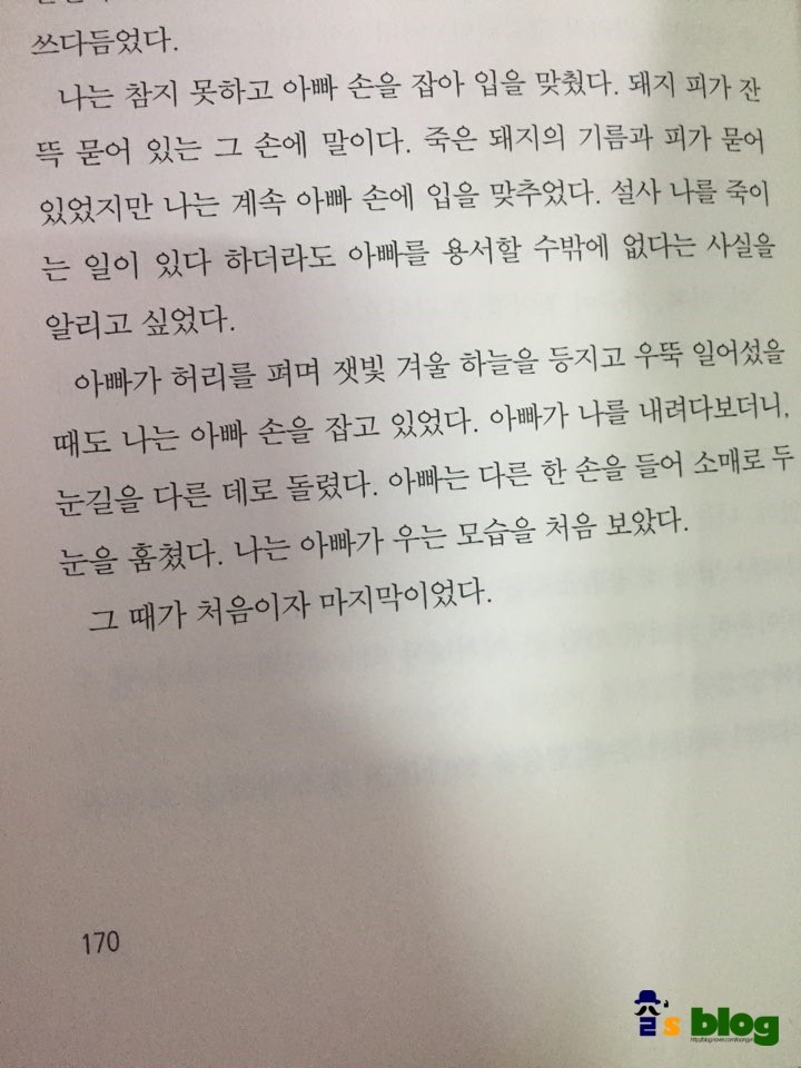 돼지가 한 마리도 죽지 않던 날 독후감줄거리내용 로버트 뉴턴 펙 네이버 블로그