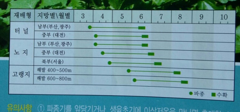 봄채소 종자파종시기 봄채소 농사 네이버 블로그