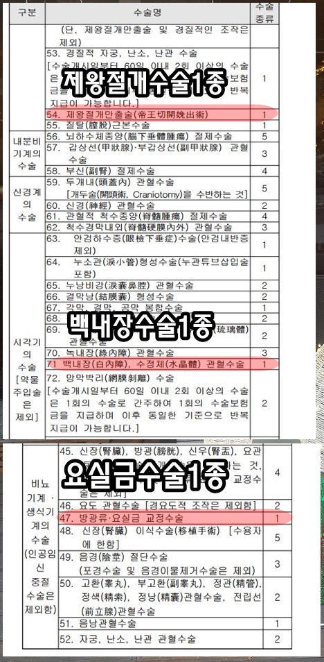 메리츠화재 종수술비1~5종 10대 20대 31세 상담사례 여성에게 특별히 좋은 이유 업계 최고의 수술비 네이버 블로그