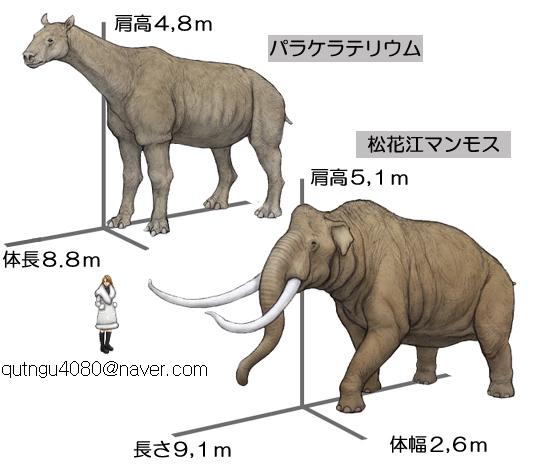 송화강 매머드(Songhua River Mammoth)(Mammuthus sungari)-역사상 가장 거대한 육상포유동물 ...