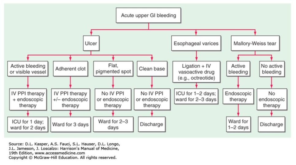 급성 상부위장관출혈의 치료, Acute UGIB management : 네이버 블로그