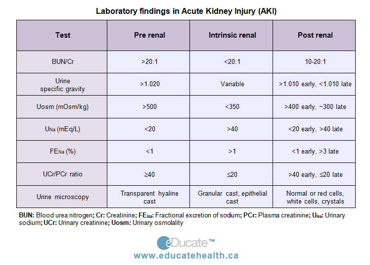 급성 신손상의 임상양상, 진단, FENA, RFI, Postrenal AKI, Azotemia evaluation : 네이버 블로그